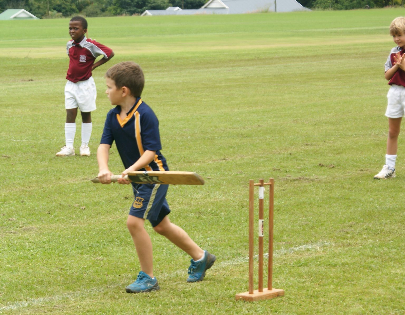Mini Cricket @ WKS – Domino Servite School